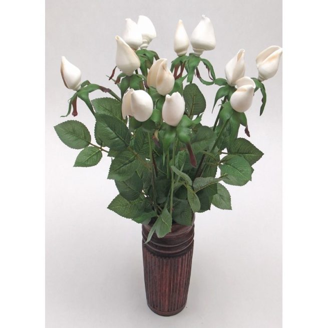 17th Anniversary Just Shell Roses