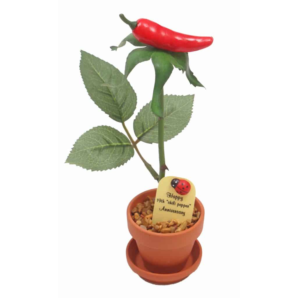 19th Anniversary: Chili Pepper - Just Paper Roses