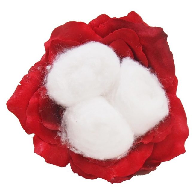 Mother's Day Flowers Gifts | Roses for Mothers Day | Just Paper Roses