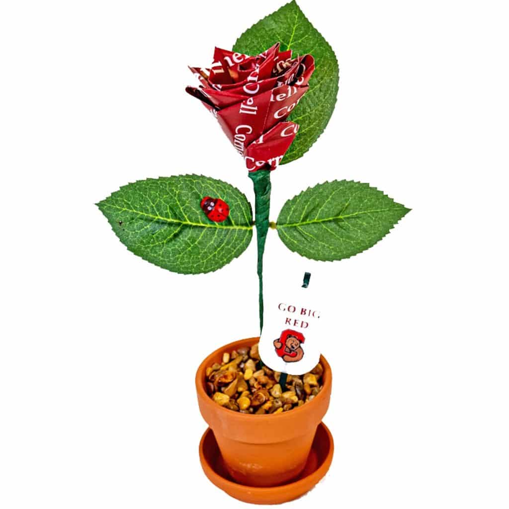 Collegiate - Just Paper Roses