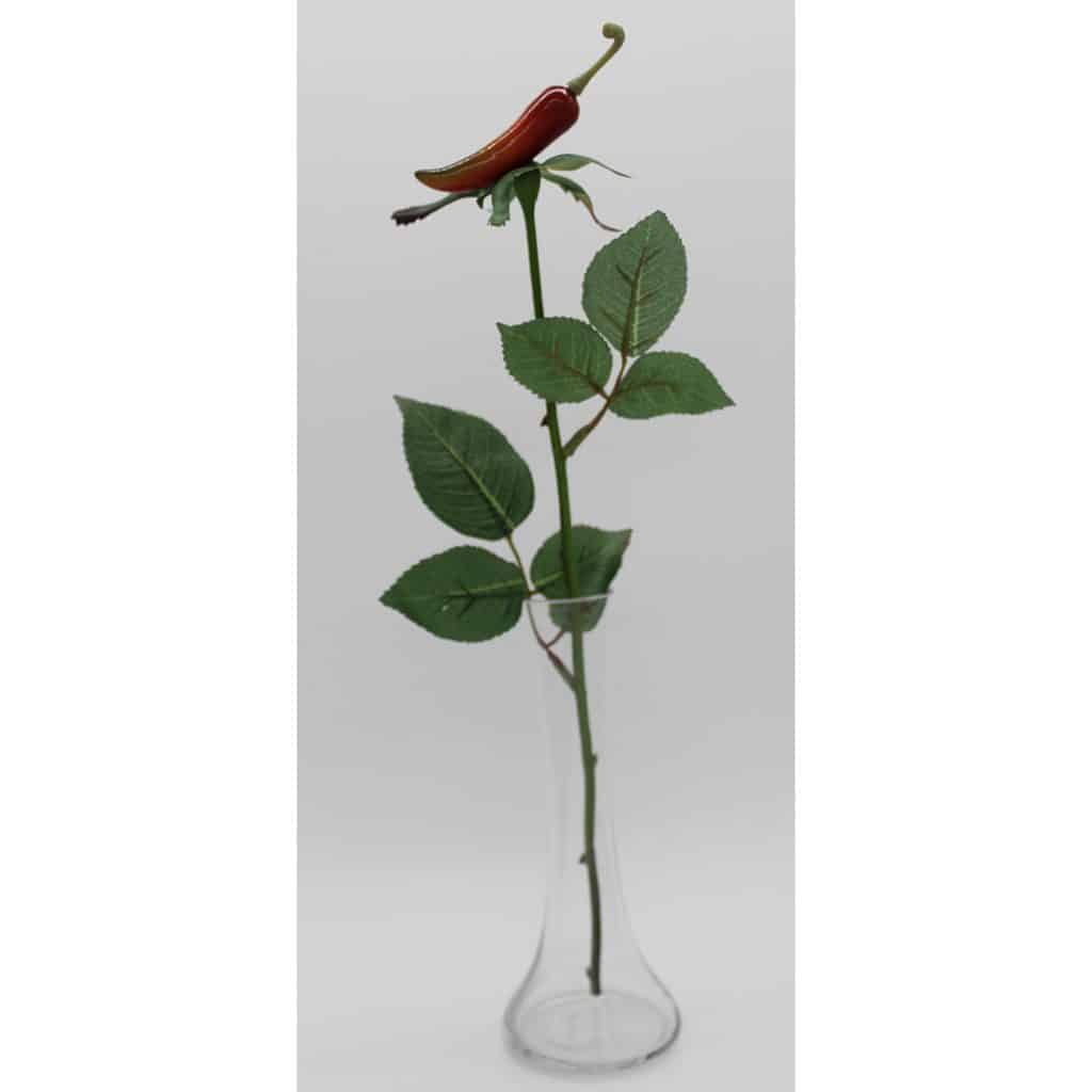 19th Anniversary Just Chili Pepper Roses