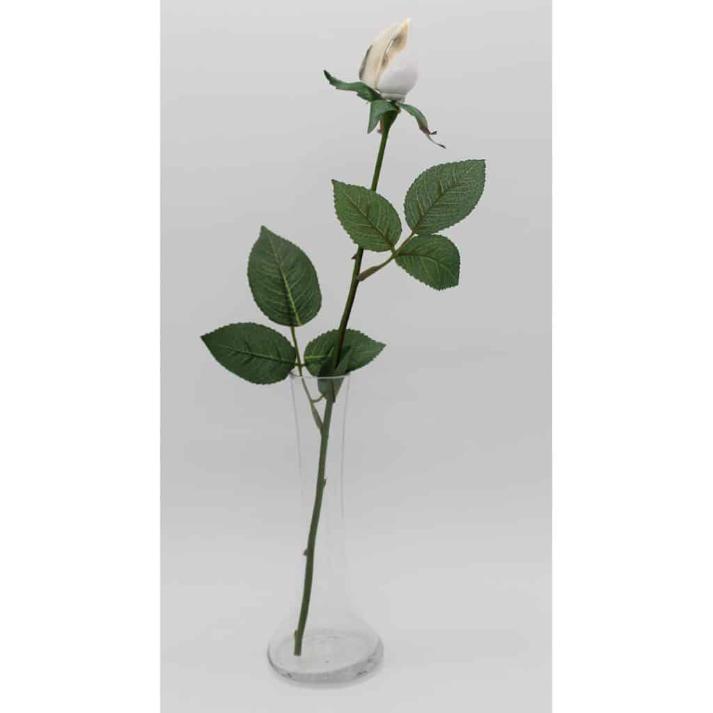 17th Anniversary Just Shell Roses