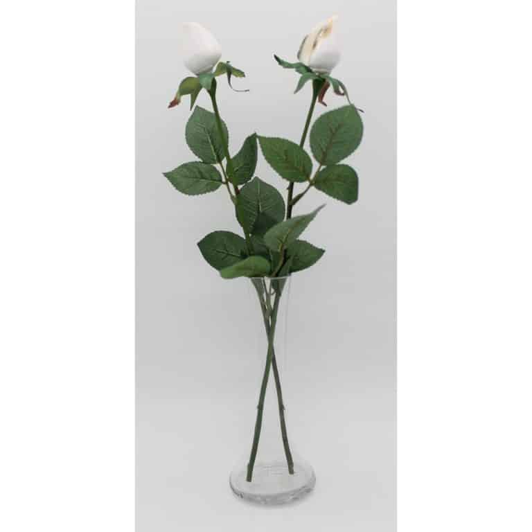 17th Anniversary Just Shell Roses